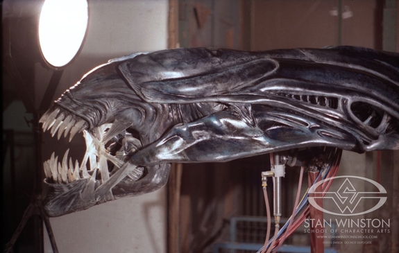 Increibles fotografias nunca vistas del proceso de creacion de la reina ...