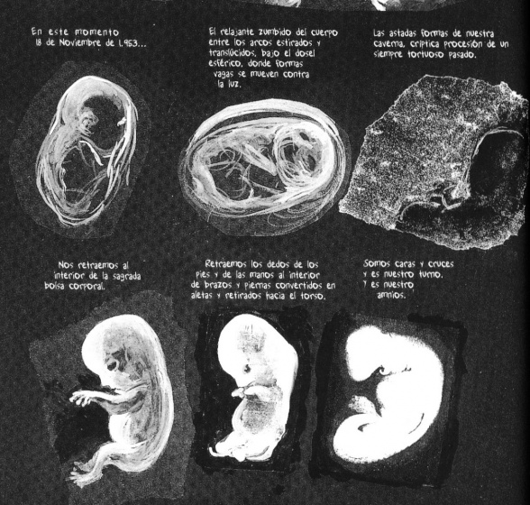 'El amnios natal' de Alan Moore