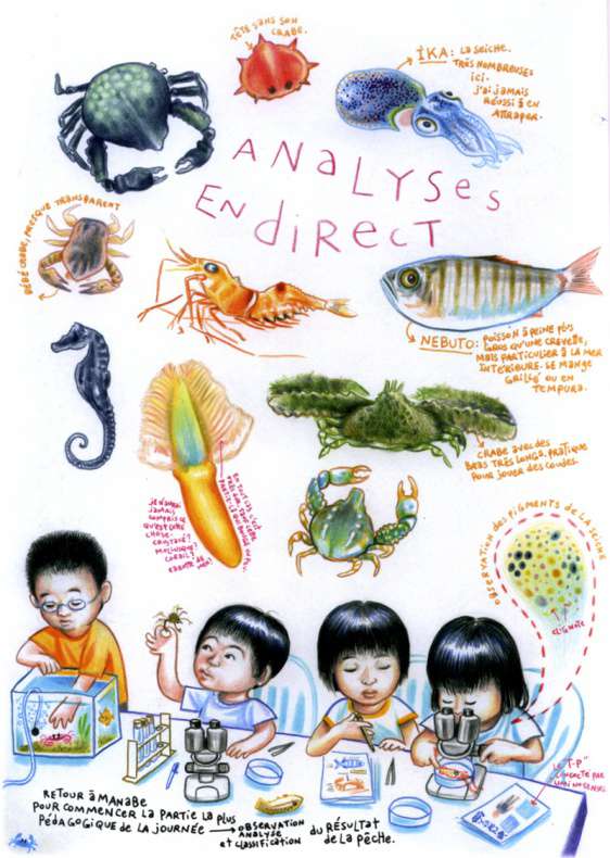 'Manabé Shima' de Florent Chavouet