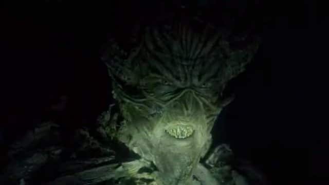 Jerad S. Marantz ha mostrado un nuevo vídeo sobre Floronic Man