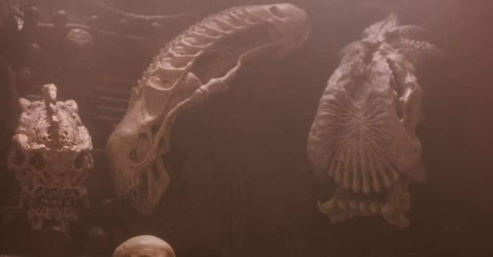 Prey nos presenta una nueva máscara del depredador, la cual podría ser ...