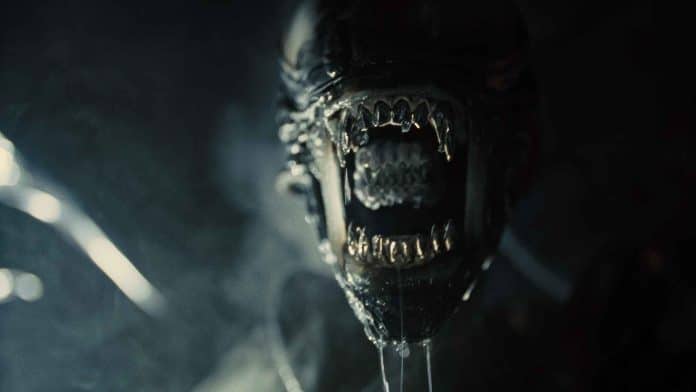 Alien: Romulus presenta nuevos conceptos de híbrido Xenomorfo para la ...