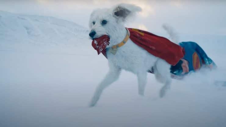 Krypto revoluciona el cine... y las adopciones de perros se disparan un ...
